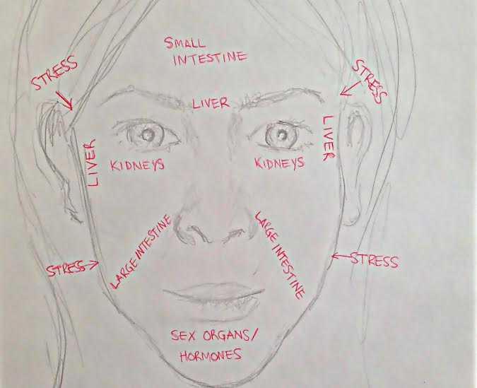 Face Mapping: How Your Skin Tells The Story Of Your Health | Shedoesthecity