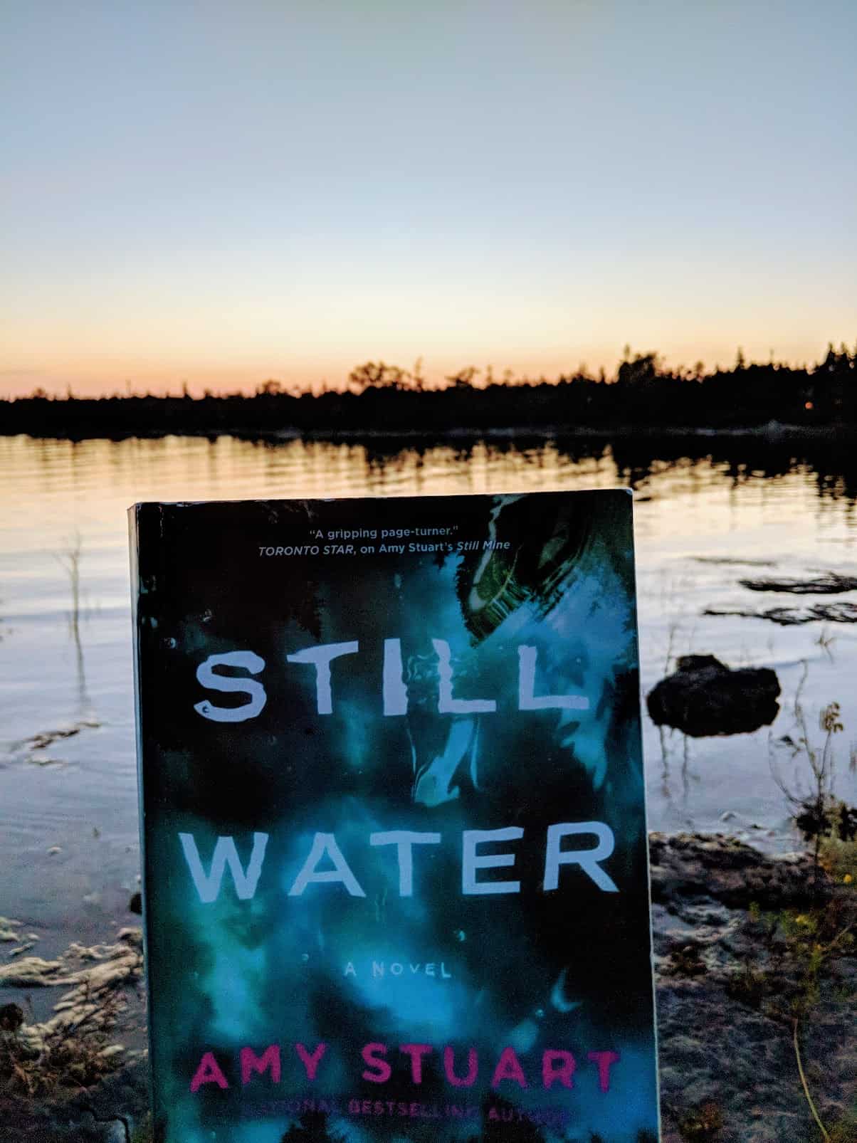 Summer Hot Read: Get Lost in the Woods with Amy Stuart's Latest ...